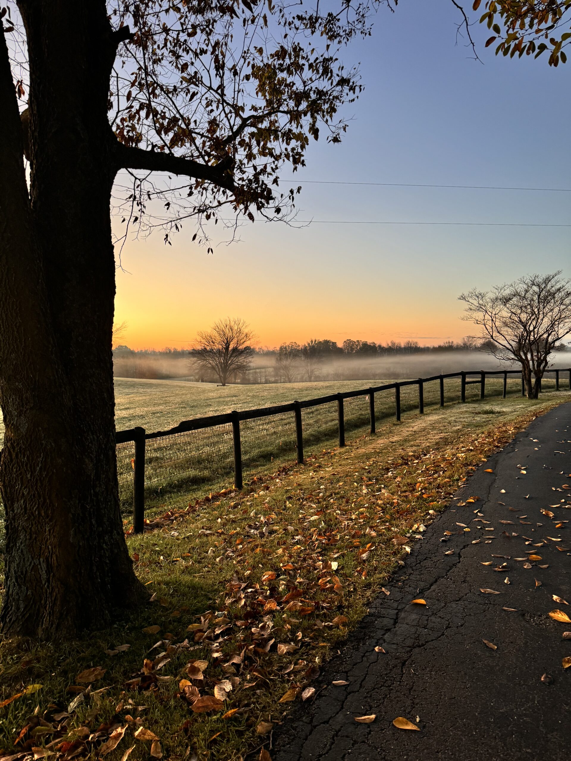 Evening Shade Farm: How Twin Sisters Built Their Dream Farm in Kentucky ...
